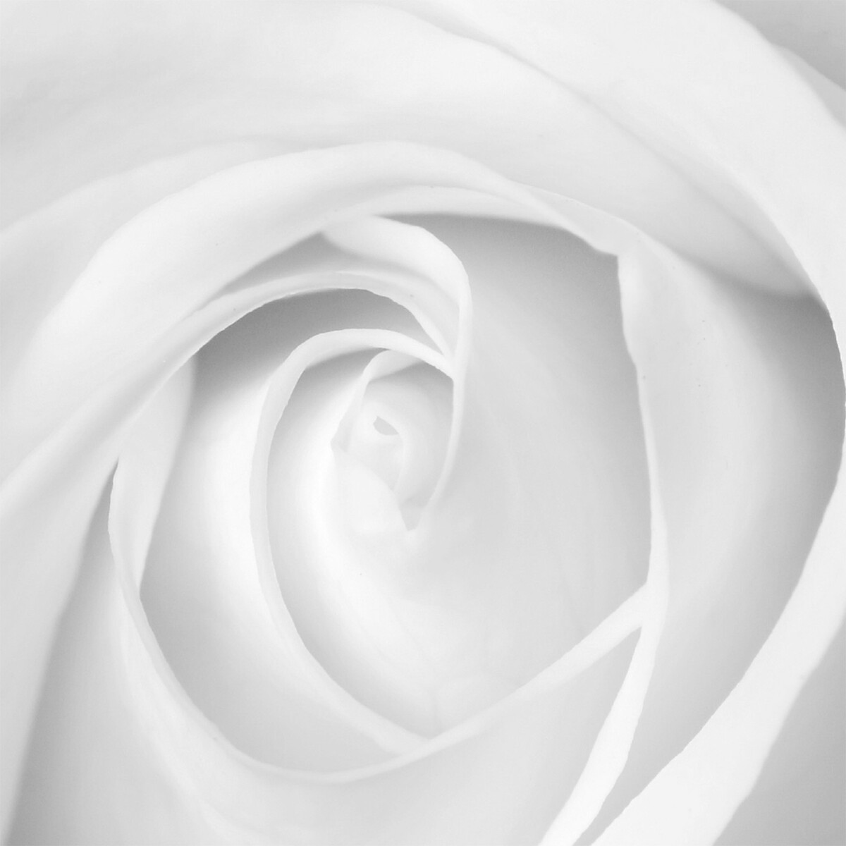 Familieberichten – Uitvaartzorg Vanderborght